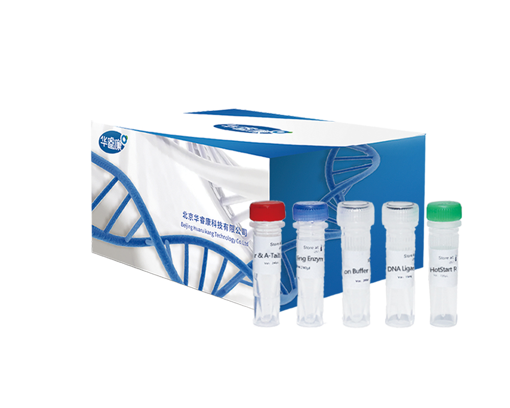 Rapid DNA Library Prep Kit - 北京华睿康科技有限公司