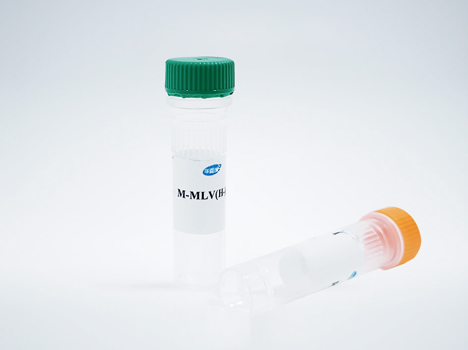M-MLV(H-)Reverse Transcriptase Ⅱ - 北京华睿康科技有限公司