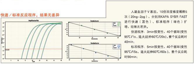 KAPA SYBR FAST qPCR试剂盒 - 北京华睿康科技有限公司
