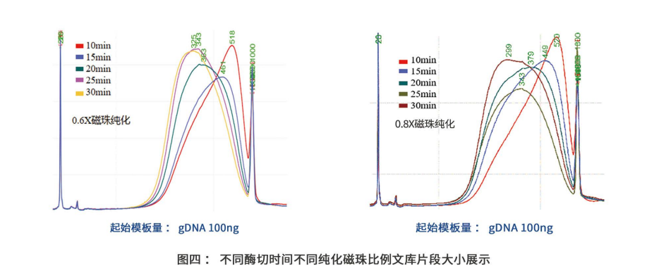 Fragmentation DNA Library Prep Kit V3 - 北京华睿康科技有限公司