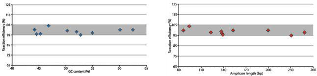 KAPA SYBR FAST qPCR试剂盒 - 北京华睿康科技有限公司